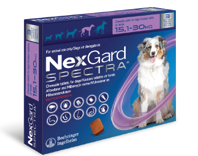 Products | NexGard South Africa